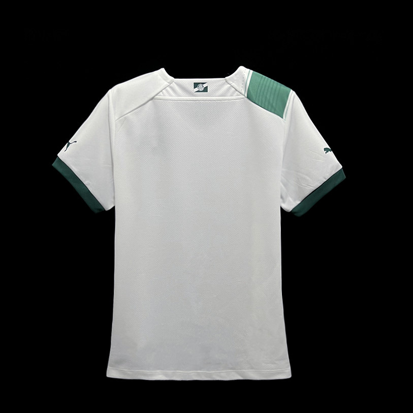 Palmeiras Outer Jersey 23/24 - Maxi Kits