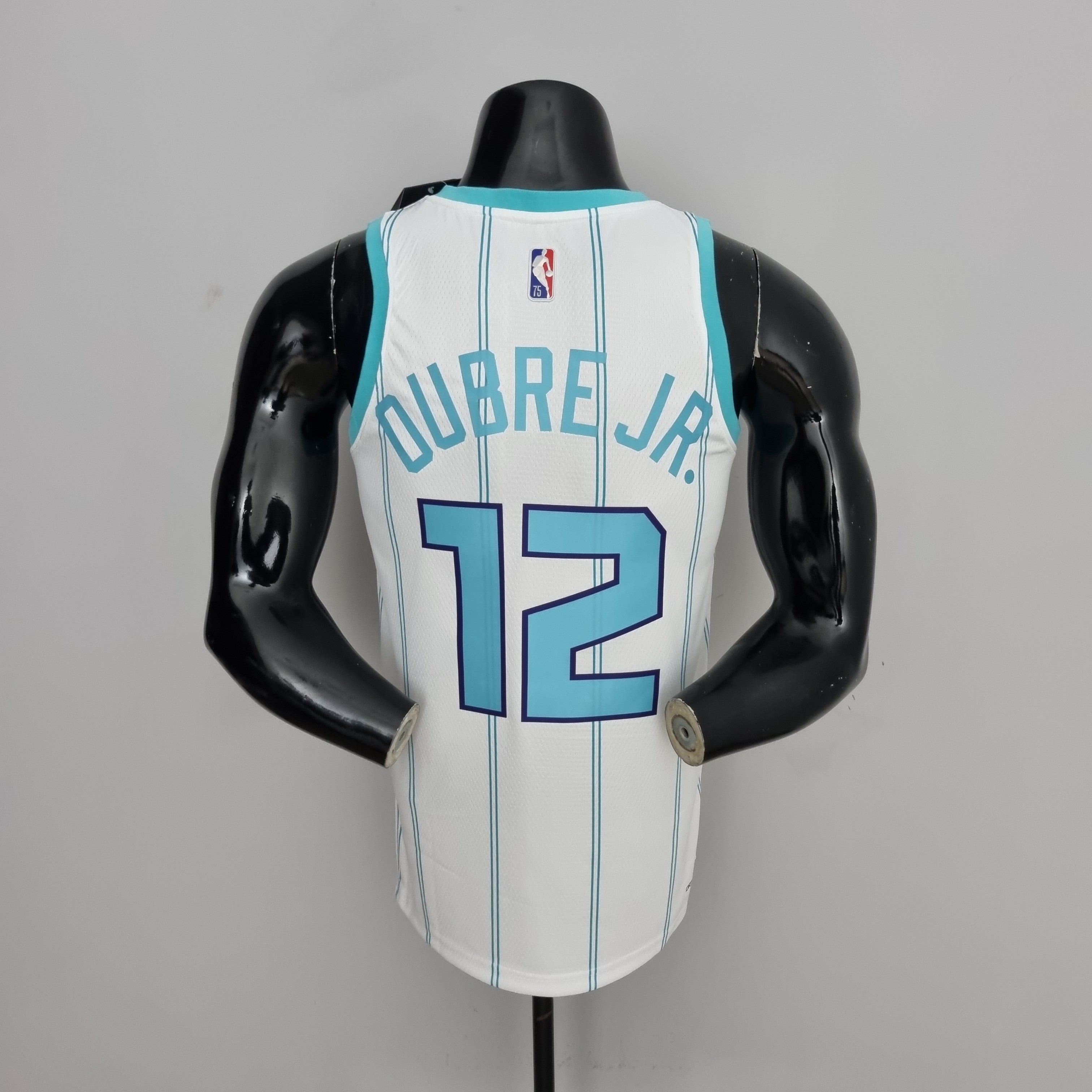 Charlotte Hornets NBA Jersey - Maxi Kits