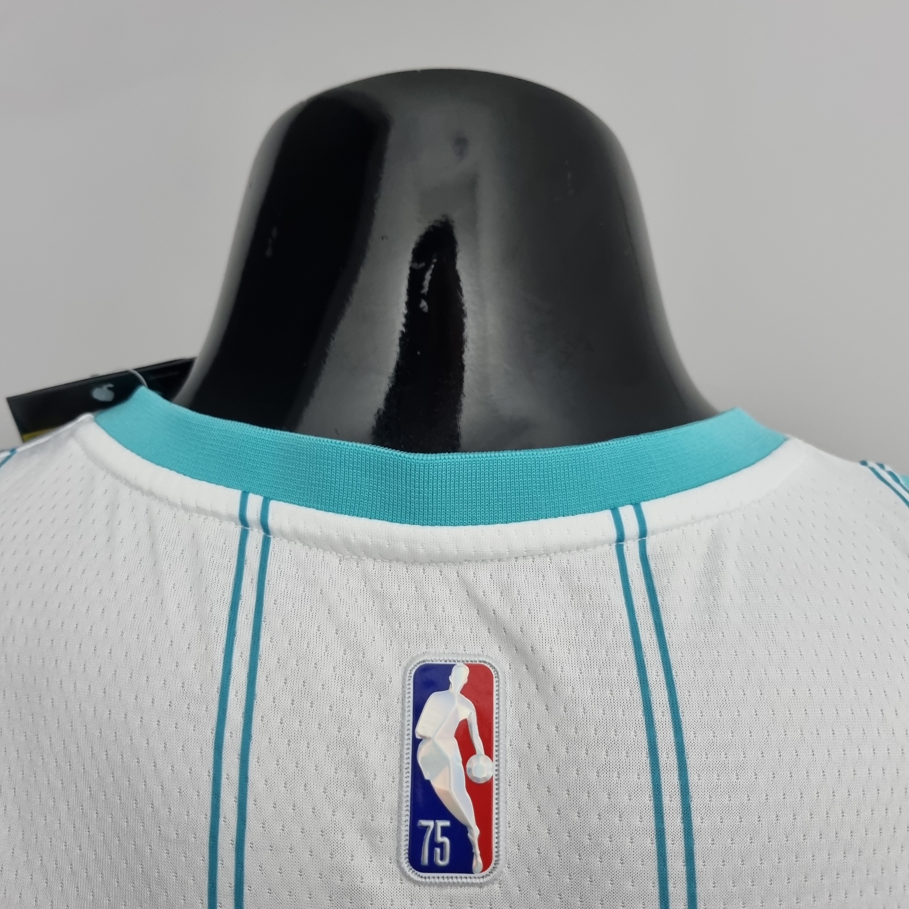 Charlotte Hornets NBA Jersey - Maxi Kits
